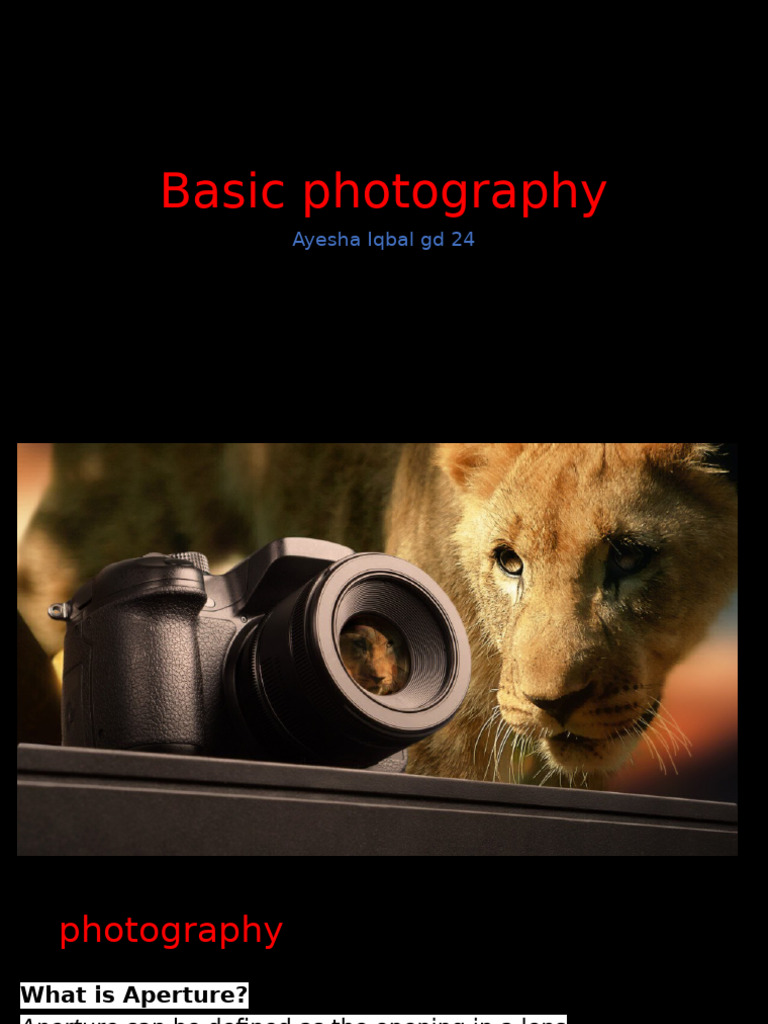 Basic Photography Ayesha Iqbal | PDF | Home & Garden