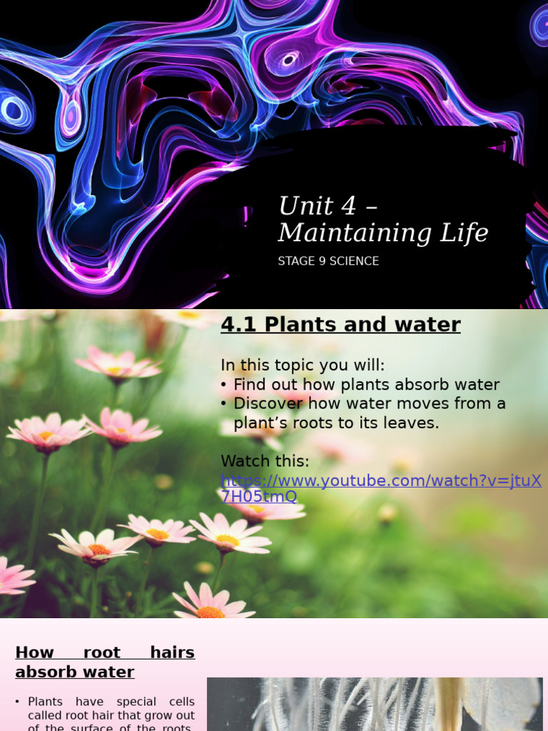 Unit 4: Maintaining Life in Science | PDF | Excretion | Root
