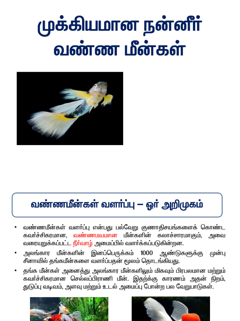 Important FFOF | PDF