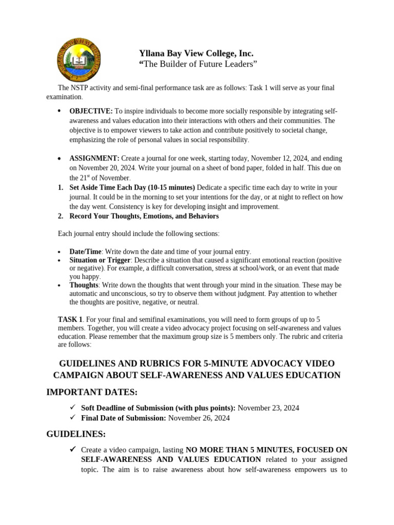 Guidelines and Rubrics For 10 Minute Video Campaign About Equality ...