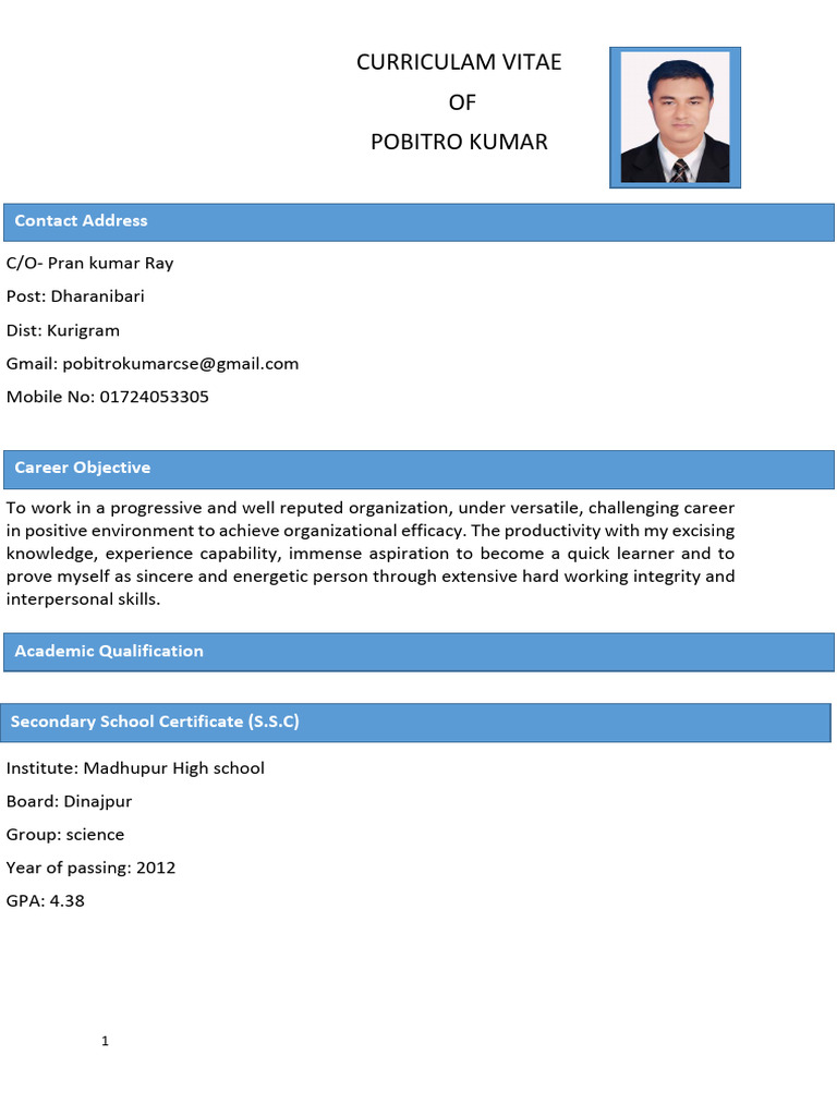 Curriculam Vitae | PDF