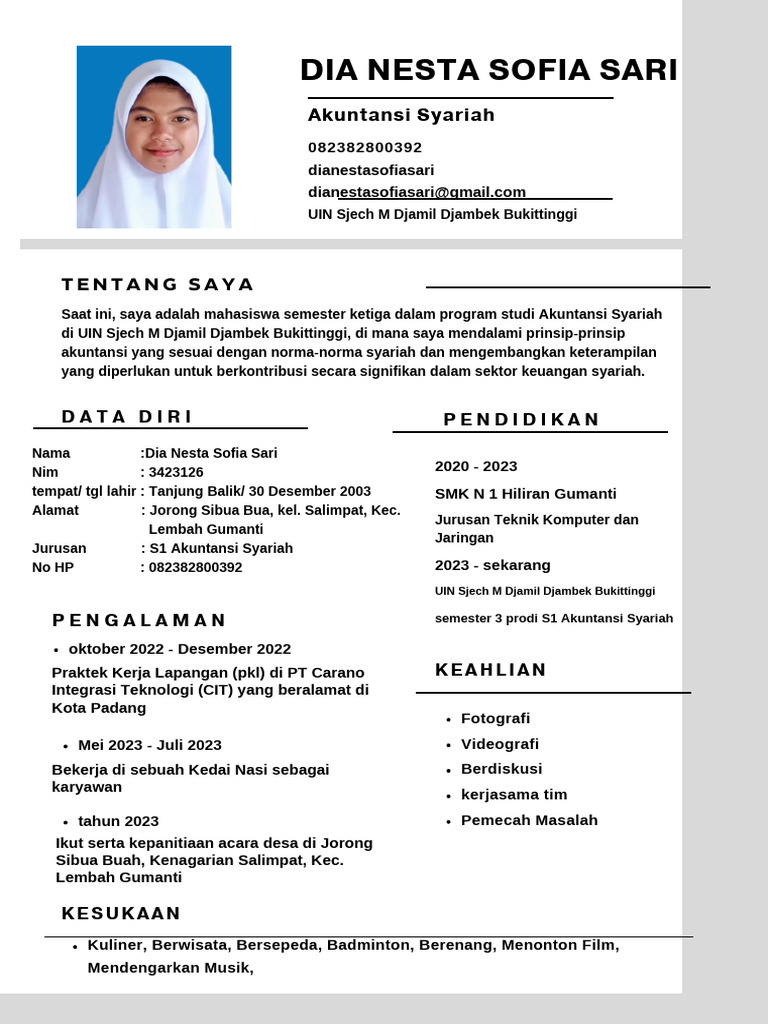 CV Dia Nesta Sofia Sari | PDF