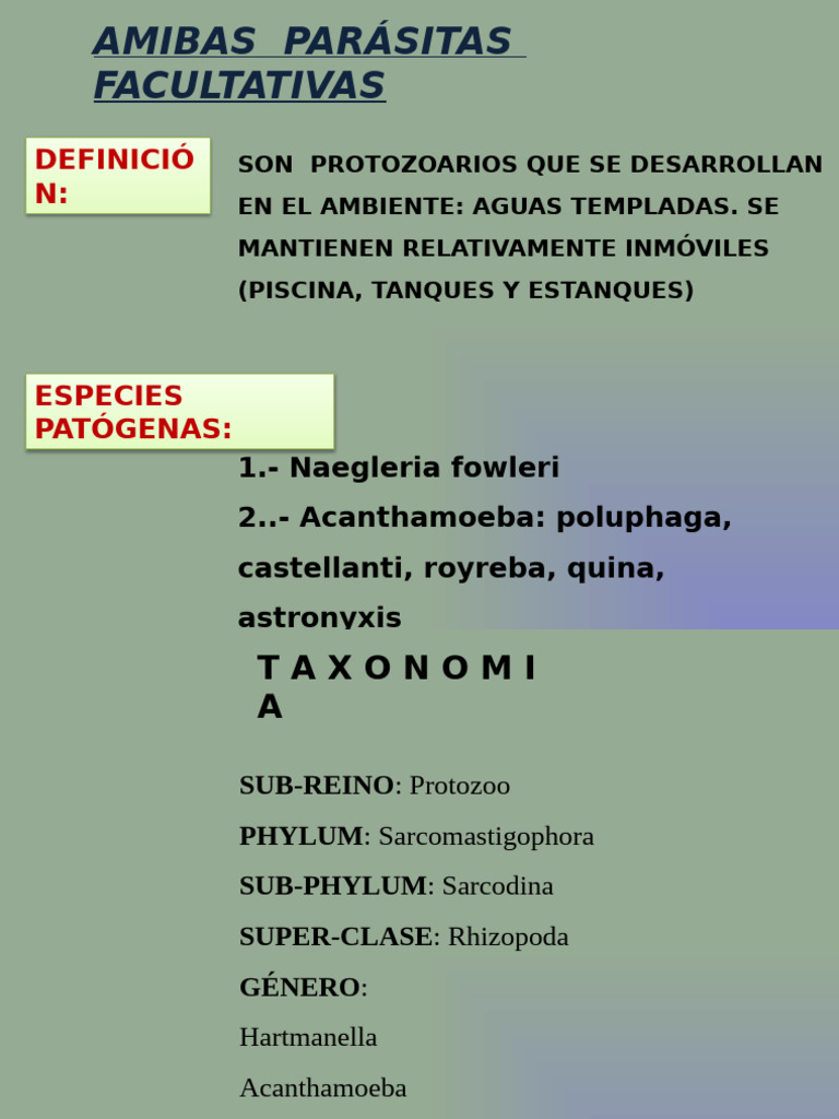 Tema 8 Amibas Parasitas Facultativas | PDF | Especialidades Medicas ...