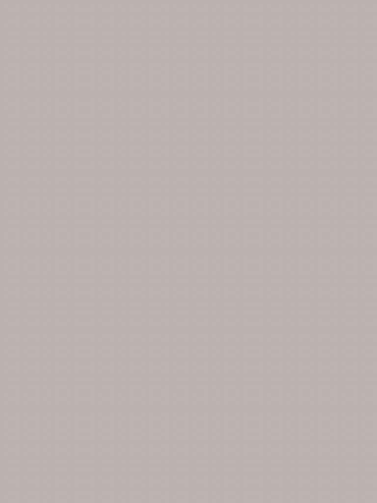 Grey | PDF