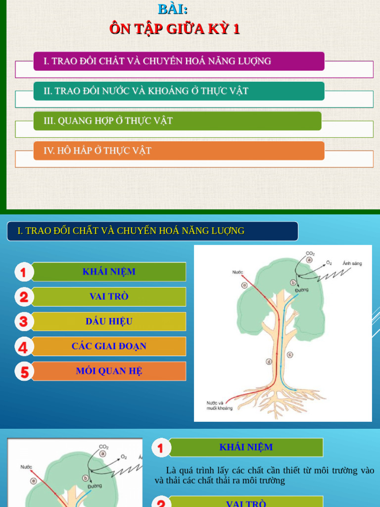 On Tap Giua Ky 1 | PDF