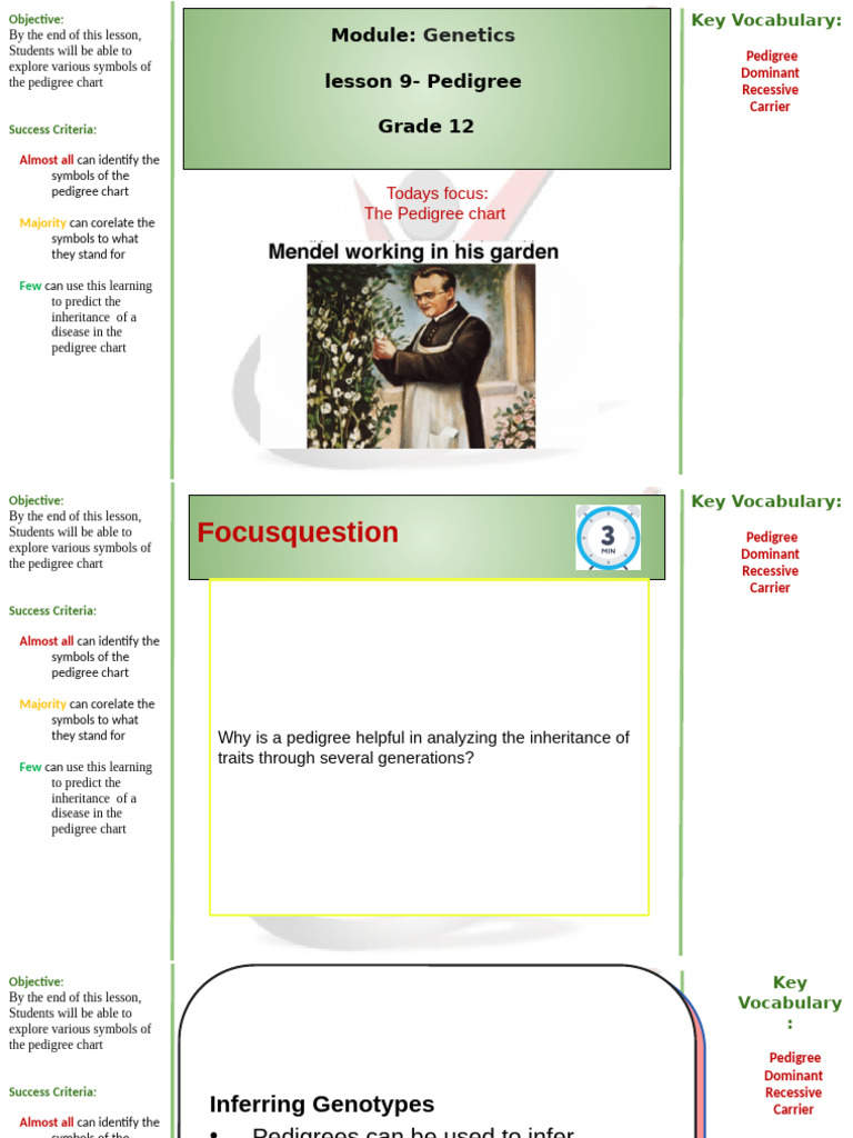 Genetics Lesson 2 - Pedigree | PDF | Dominance (Genetics) | Genotype
