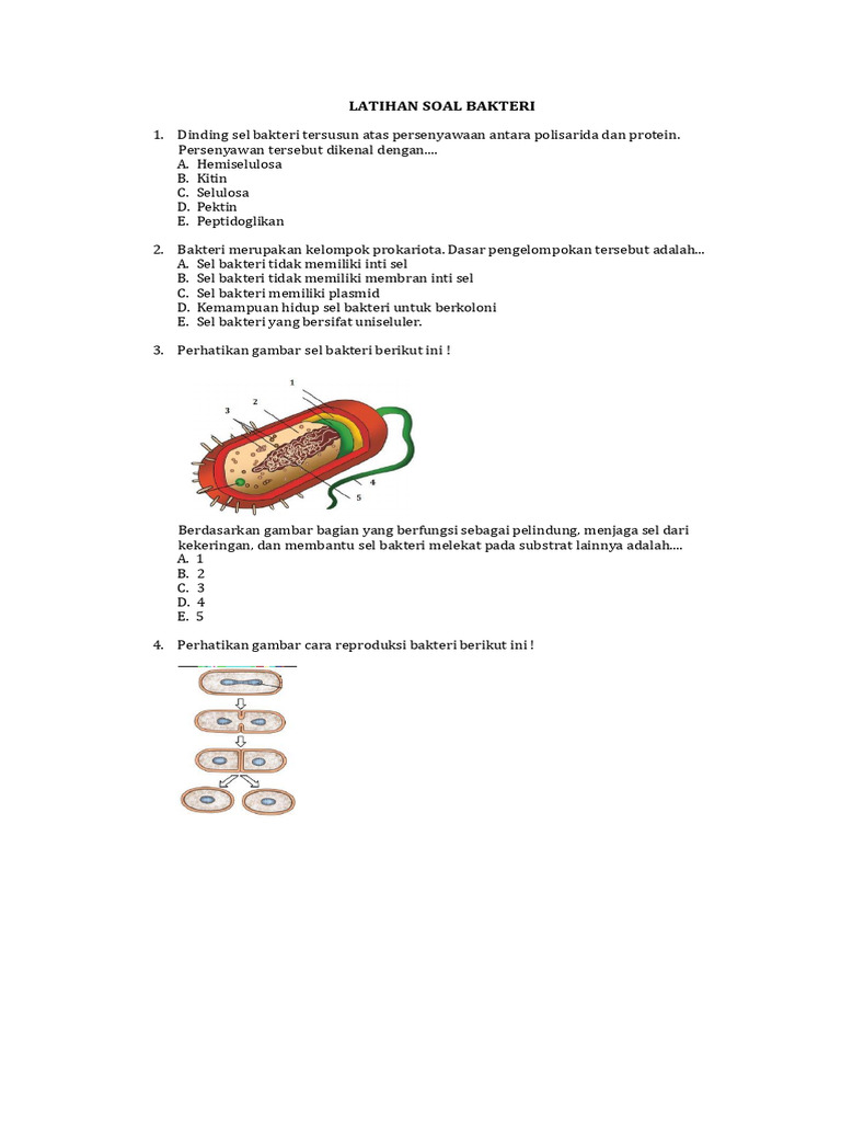 Latihan Soal Bakteri | PDF