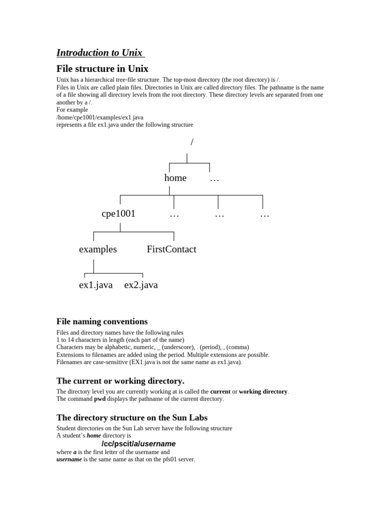 unix | PDF | Computer File | Command Line Interface unix | PDF | Computer File | Command Line Interface