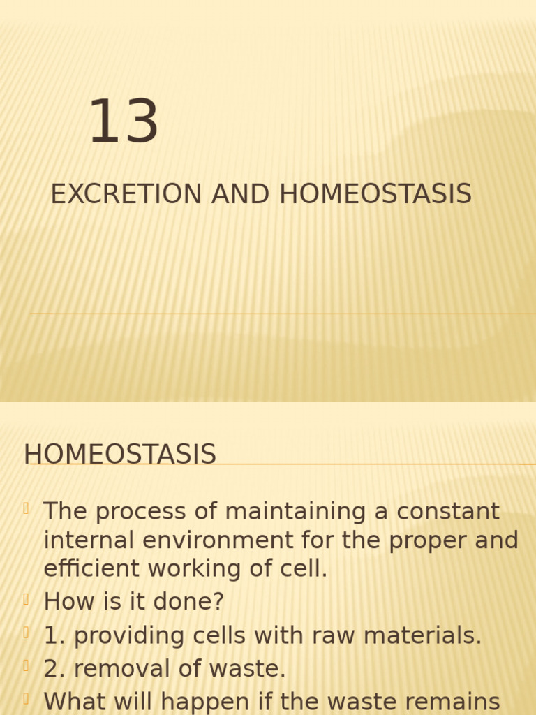 Homeostasis and Excretion Guide | PDF | Wellness