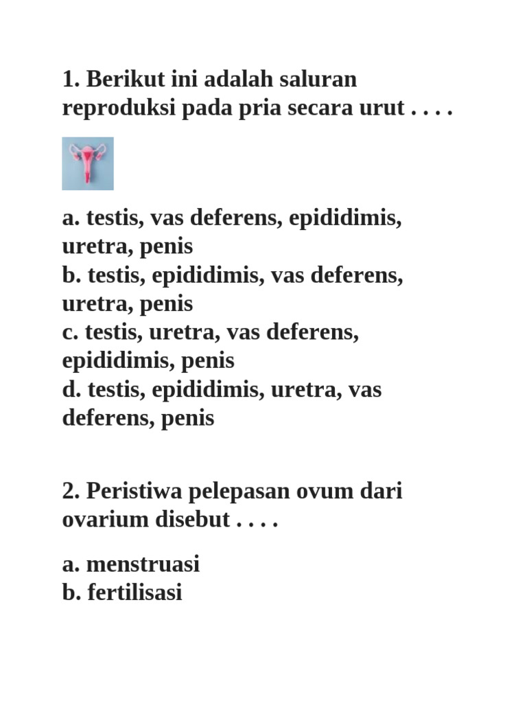 Mid Semester Ipa Kelas 9 Semester 1 2024 | PDF | Kajian Bahasa Asing | Kesehatan Holistik