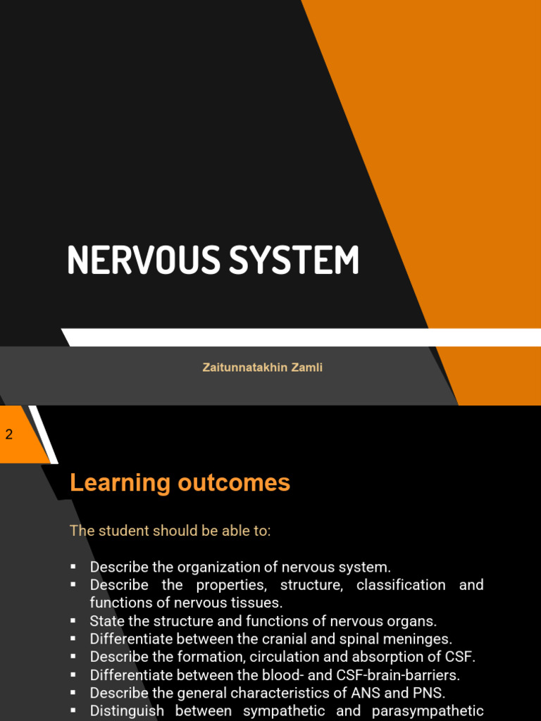 Week 3 Nervous System Pdf Autonomic Nervous System Nervous System