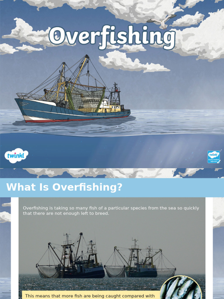 T G 1648450508 Overfishing Ks2 Powerpoint Ver 2 | PDF | Overfishing | Fish
