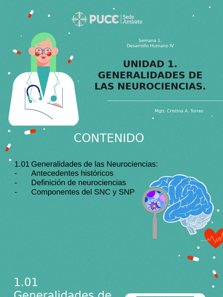 Semana 1. Generalidades de La NC | PDF | Neurociencia | Cerebro