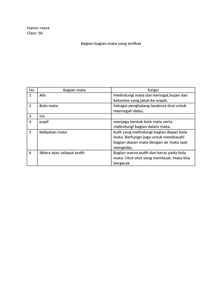 23 Rasya Bagian-Bagian Mata | PDF
