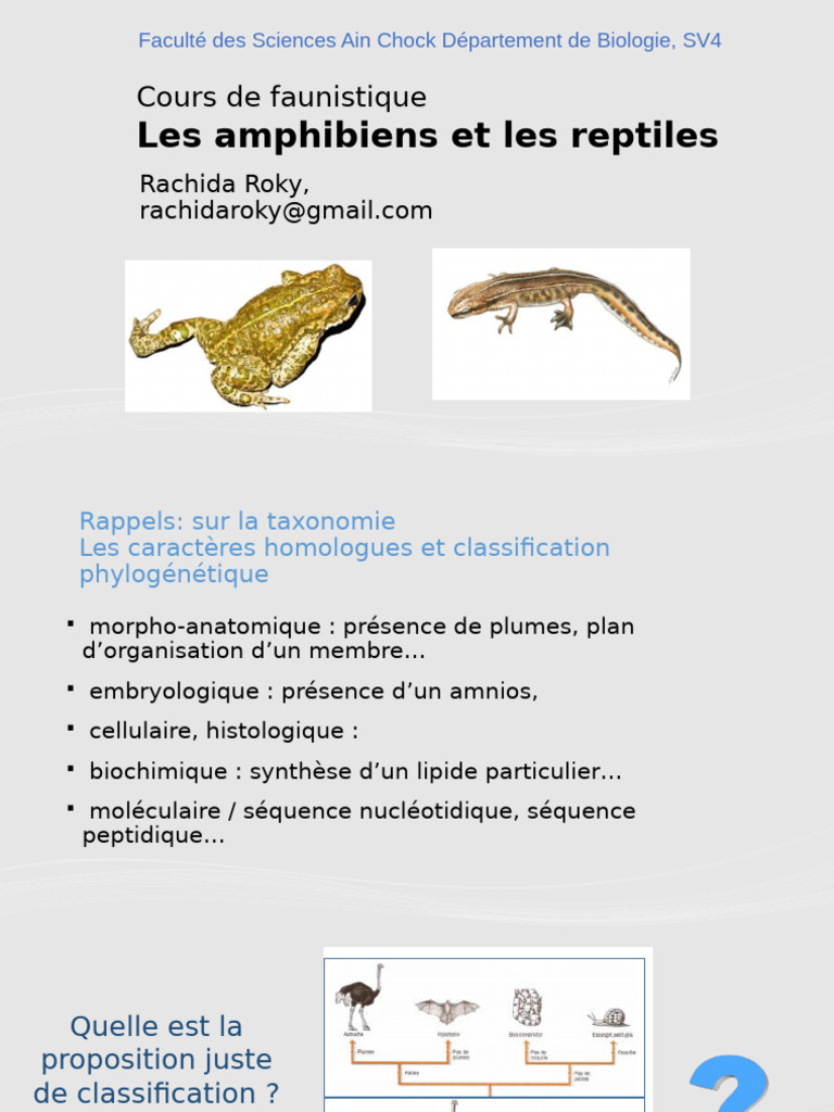 Classification des Amphibiens et Reptiles | PDF | Amphibiens | Reptile