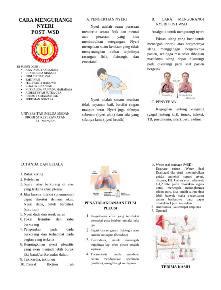 Leaflet WSD | PDF