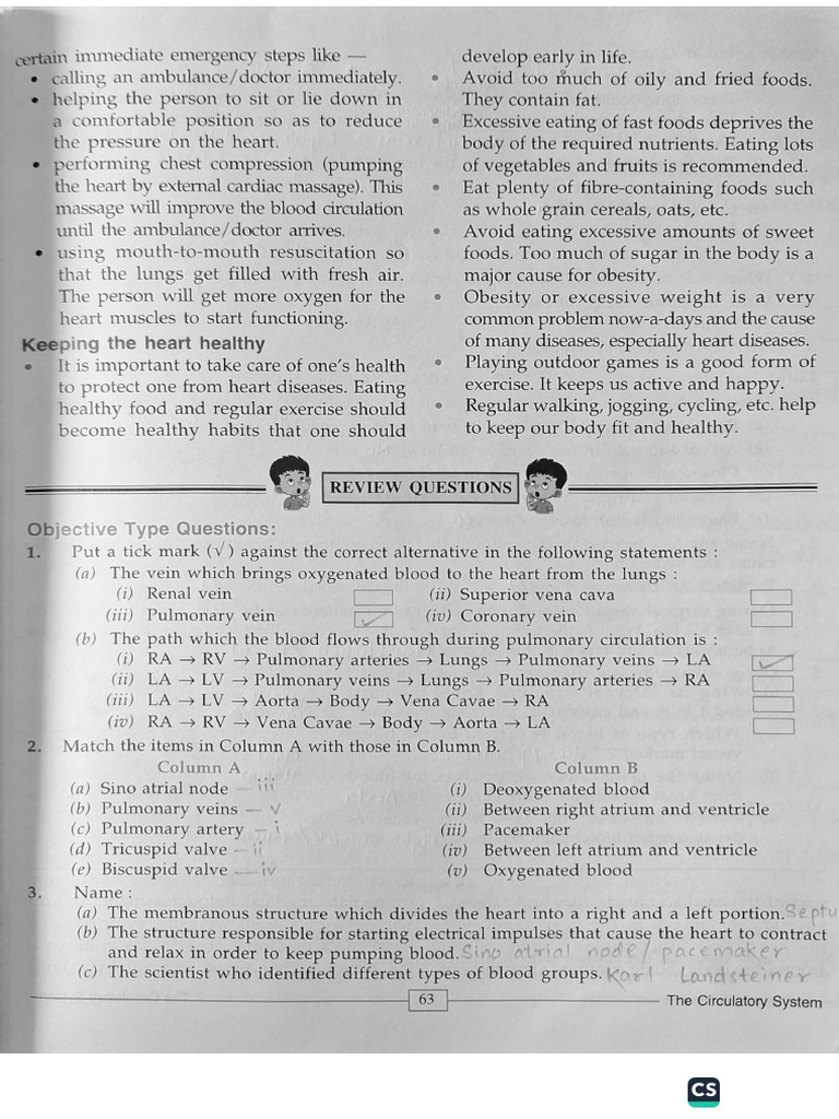 G 8th Ch 6 The Circulatory System Pdf