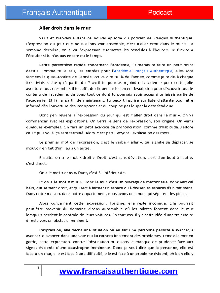 Aller droit dans le mur : explications | PDF