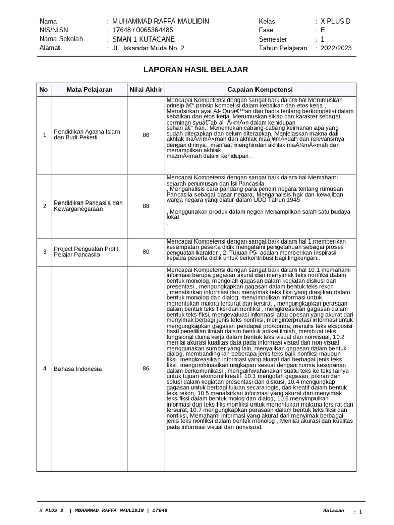 Rapor Siswa Raffa | PDF