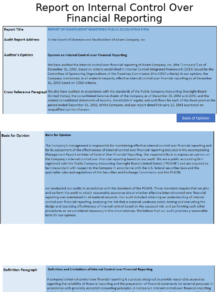 Report in INternal Control Over Financial Reporting | PDF