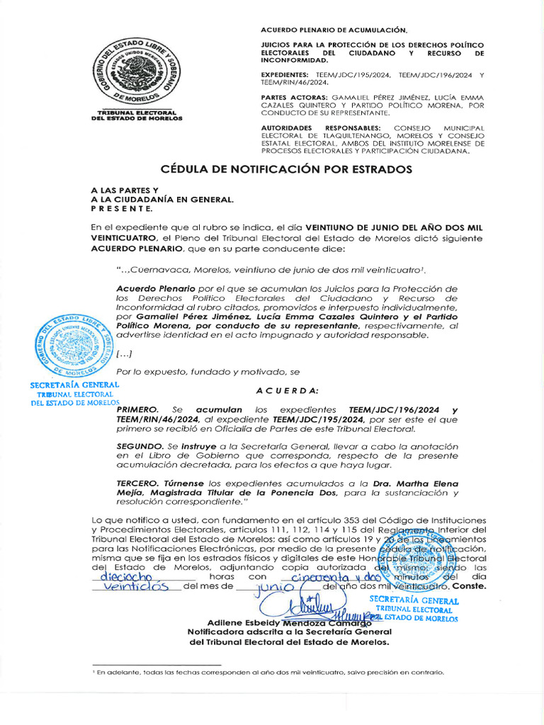 TEEM-JDC-195-2024, TEEM-JDC-196-2024 y TEEM-RIN-46-2024 | PDF