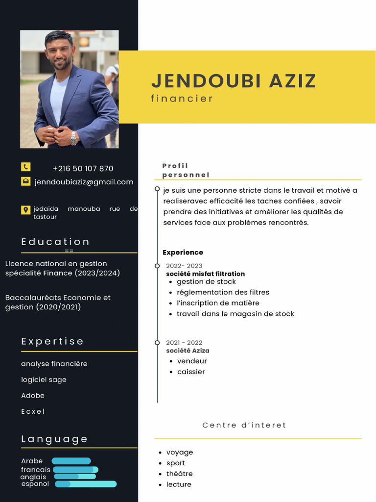 Jendoubi Aziz (1) CV | PDF