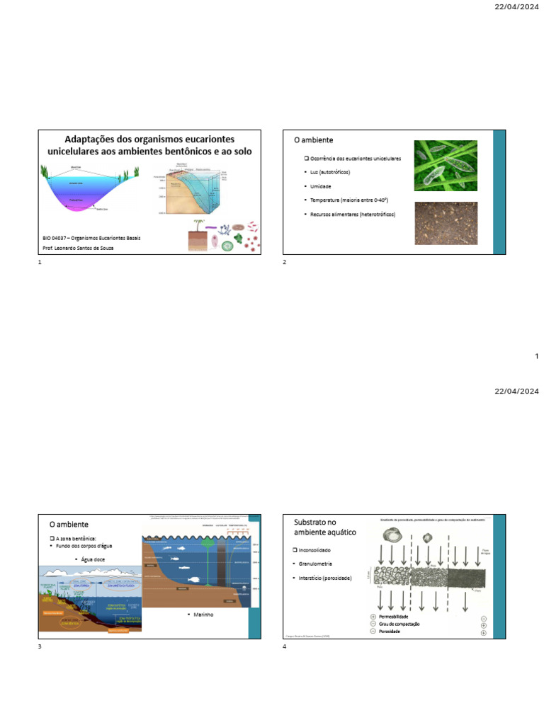 Aula OEB - Adaptações Organismos Bentônicos - Moodle | PDF | Solo ...