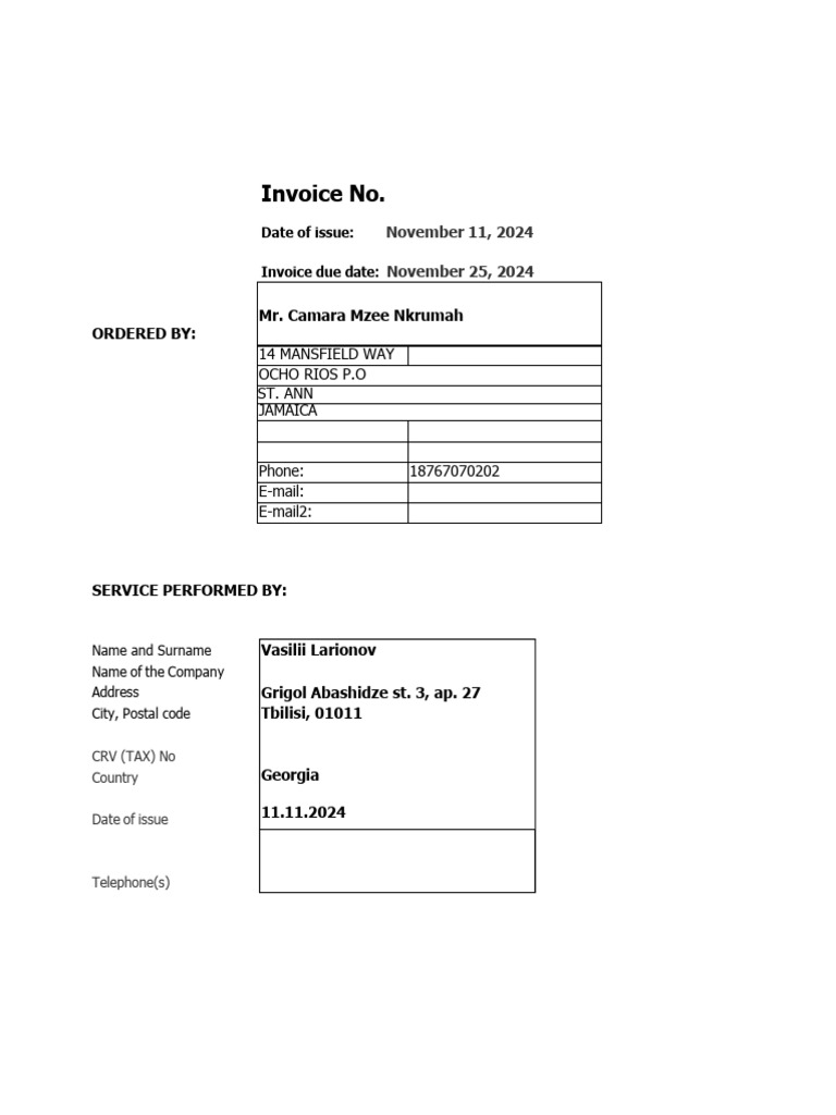 Mr. Camara - Invoice 11.11.2024 | PDF