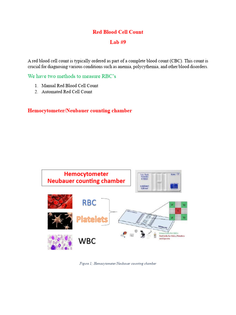 Red Blood Cell Count-Lab 9 | PDF | Blood Cell | Medical Specialties