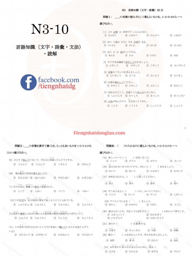 De Thi JLPT n3 10 | PDF