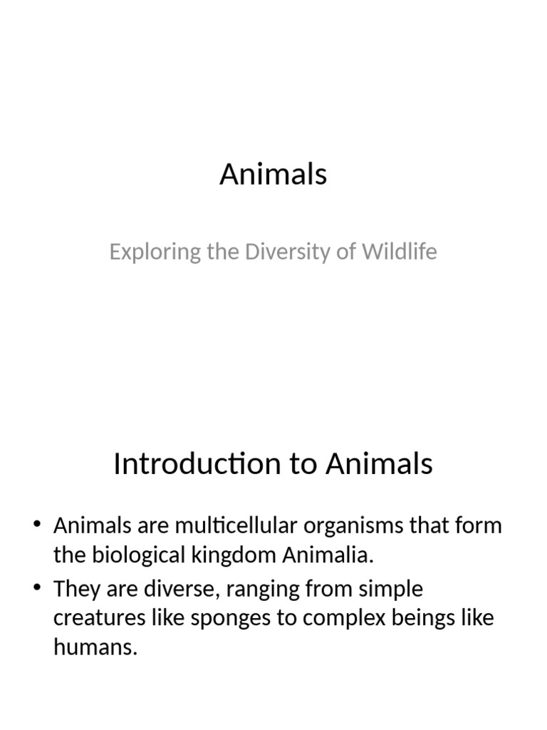 Animals Presentation | PDF