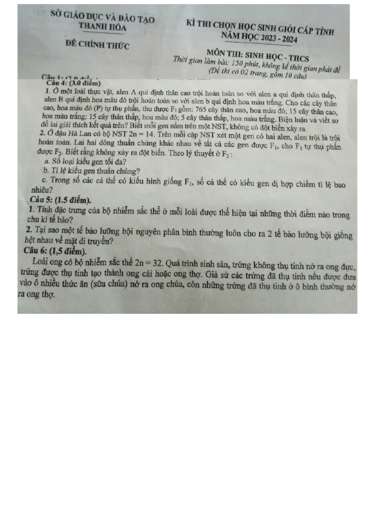 HSG THANH HOÁ 2023 2024 | PDF