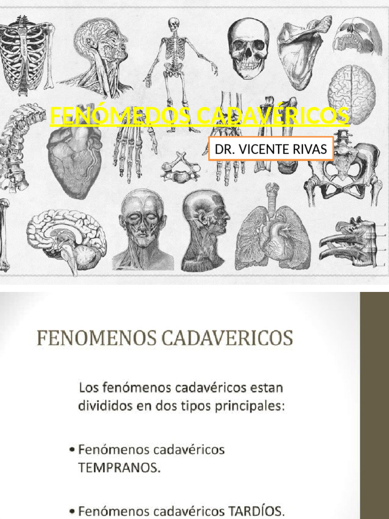 Fenomenos Cadavericos | PDF