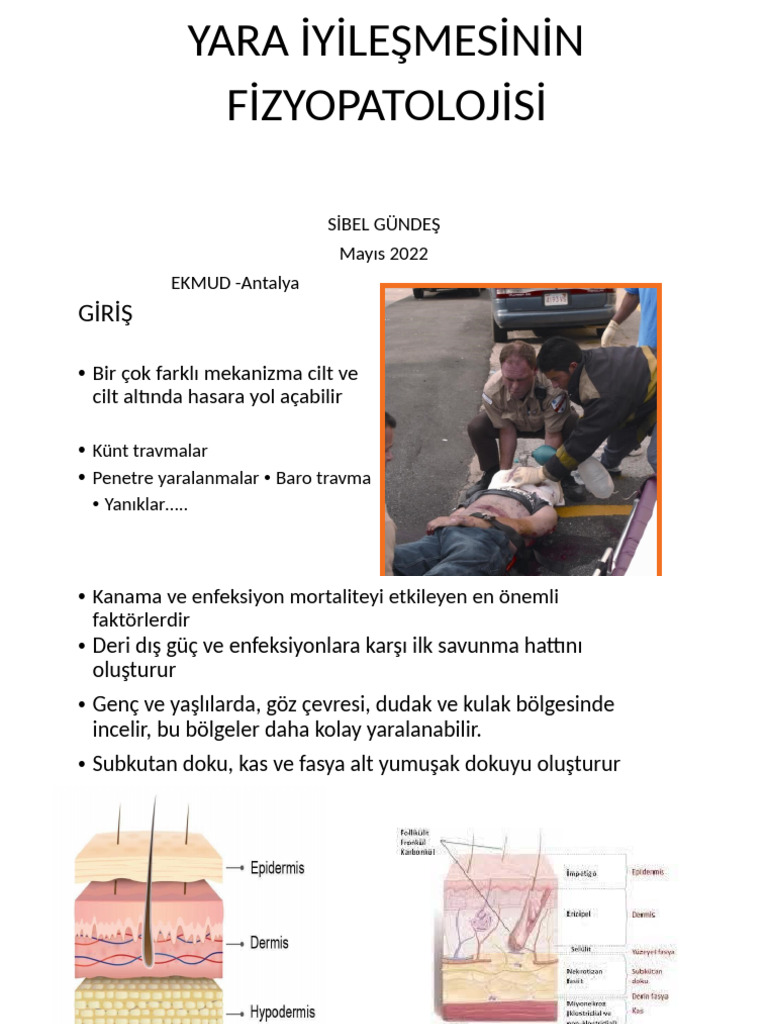 Yara Iyilesmesinin Fizyopatolojisi | PDF