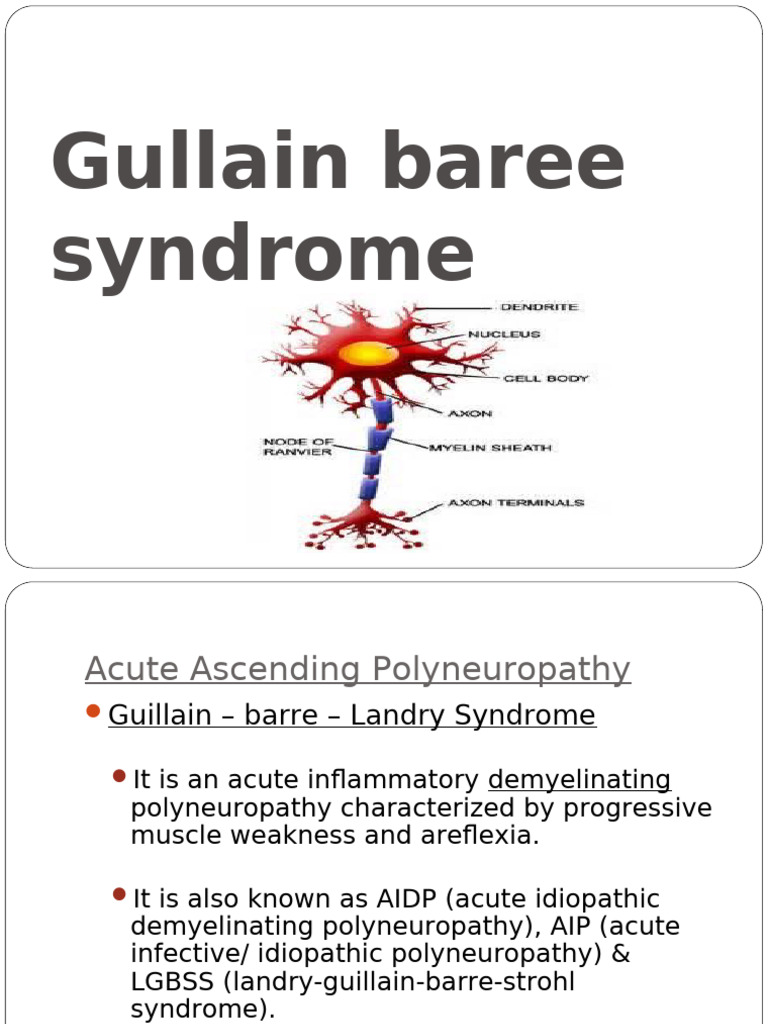 GBS-1 | PDF | Myelin | Axon