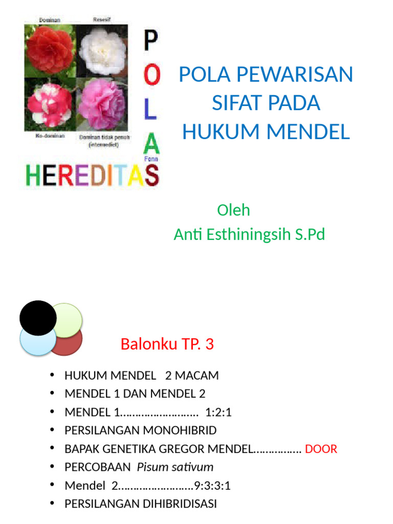 Pola Hereditas Mendel | PDF