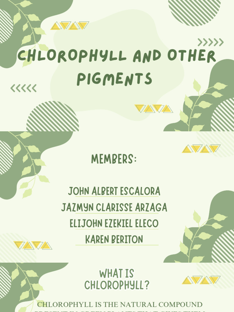 General Biology The Importance of Chlorophyll and Other Pigments ...