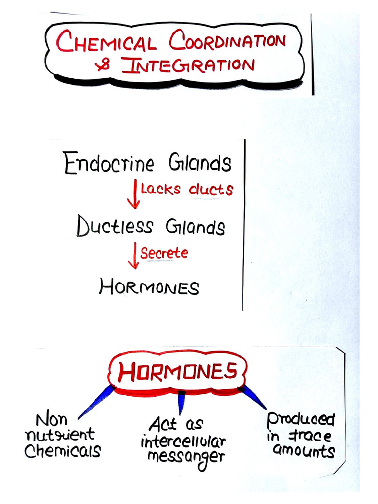 Hormone | PDF