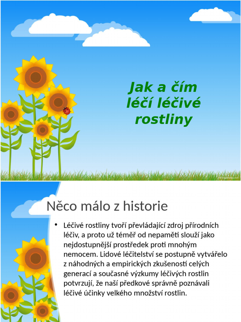 Lecive Rostliny | PDF