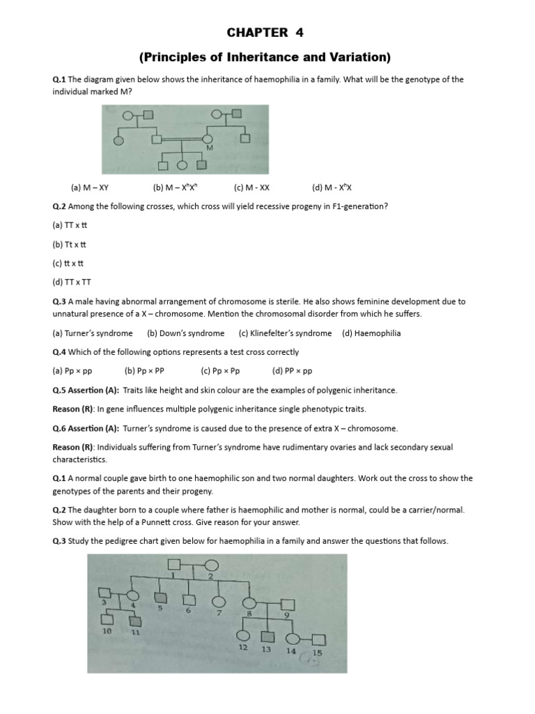 IMP Q. Chapter 4 | PDF | Dominance (Genetics) | Genotype