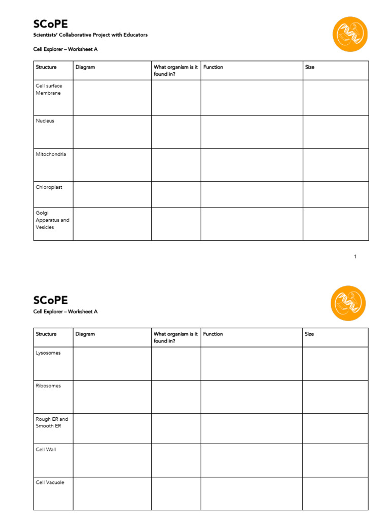 Cell Organelles Notes Sheet | PDF