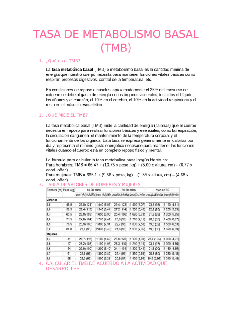 Tasa de Metabolismo Basal | PDF