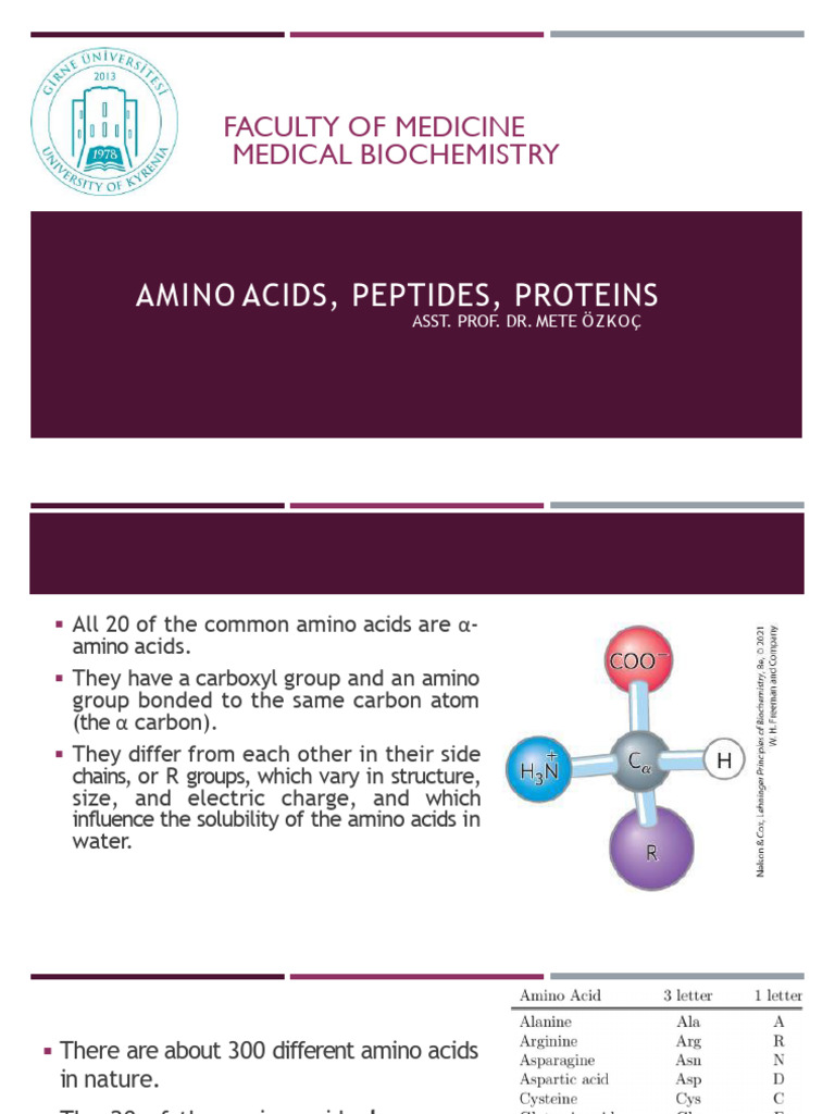 Amino Acids, Peptides, Proteins | PDF | Protein Structure | Alpha Helix