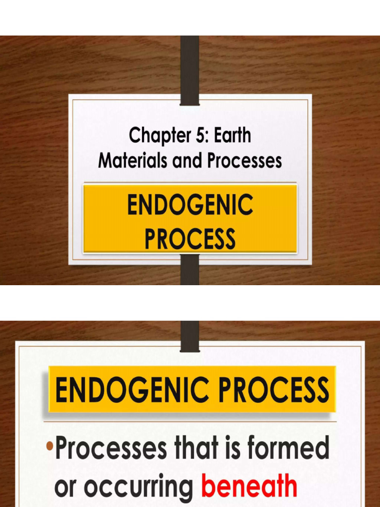 Endogenic Processes | PDF