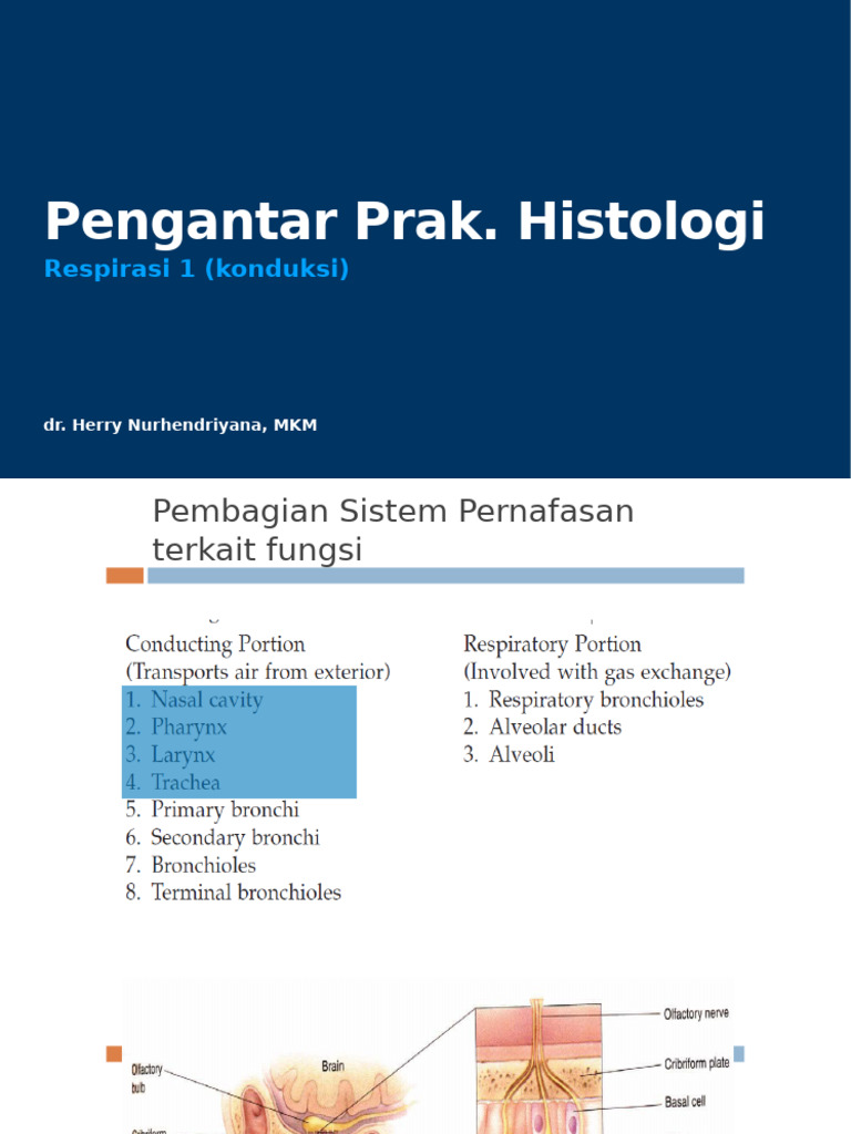 Pengantar Prak. Histo Respi 1 | PDF