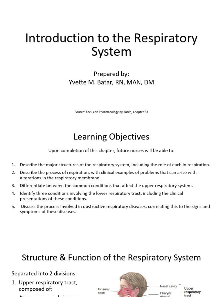 (NCM 106) A-Intro-to-Respi-System-Ch-53 - 241028 - 090322 | PDF | Respiratory Tract ...
