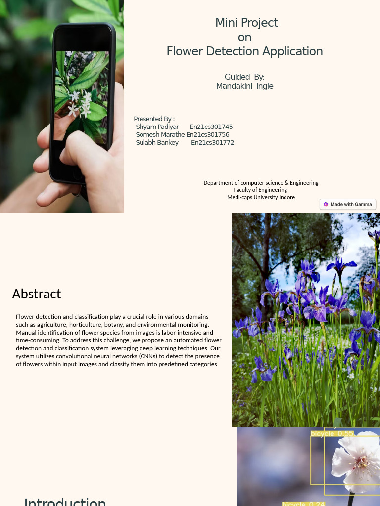FinalPPT FlowerDetectionby | PDF | Artificial Neural Network | Machine ...