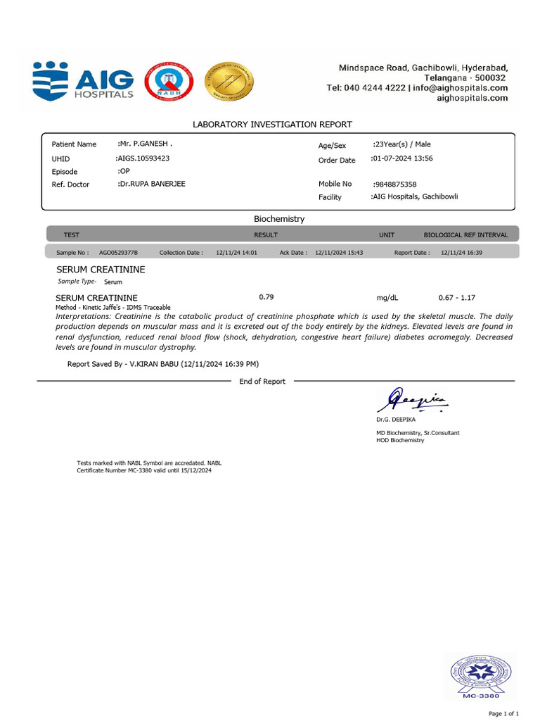 25053lab Report - PDF 20241114 211749 0000 | PDF | Creatinine | Kidney