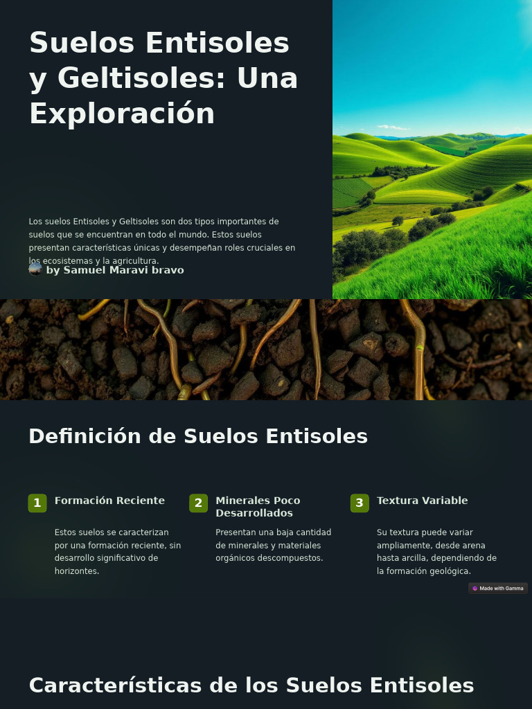 Suelos Entisoles y Geltisoles Una Exploracion | PDF | Suelo | Agricultura
