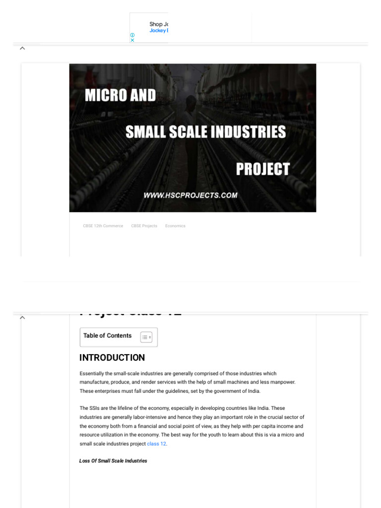 Micro and Small Scale Industries Project Class 12 | PDF | Small And ...